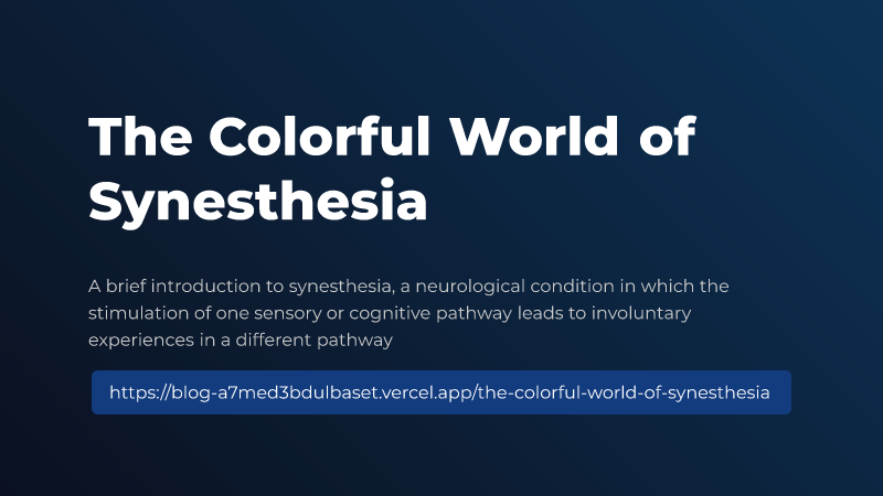 The Colorful World of Synesthesia - Ahmed AbdulBaset's Blog